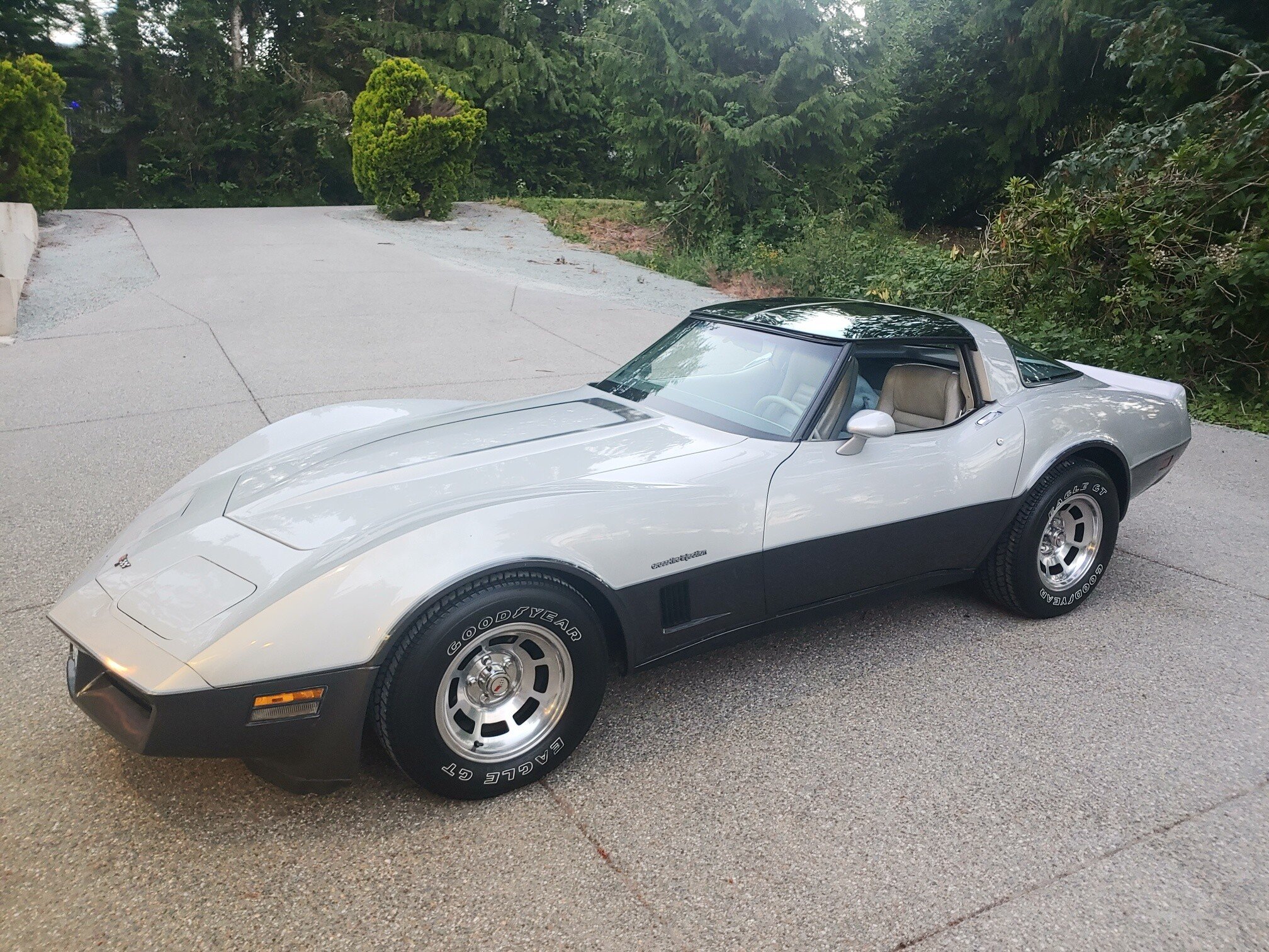Chevrolet Corvette Classic Cars for Sale - Classics on Autotrader