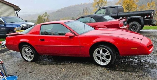 1987 Pontiac Firebird Formula Muscle Cars and Pony Cars for Sale ...