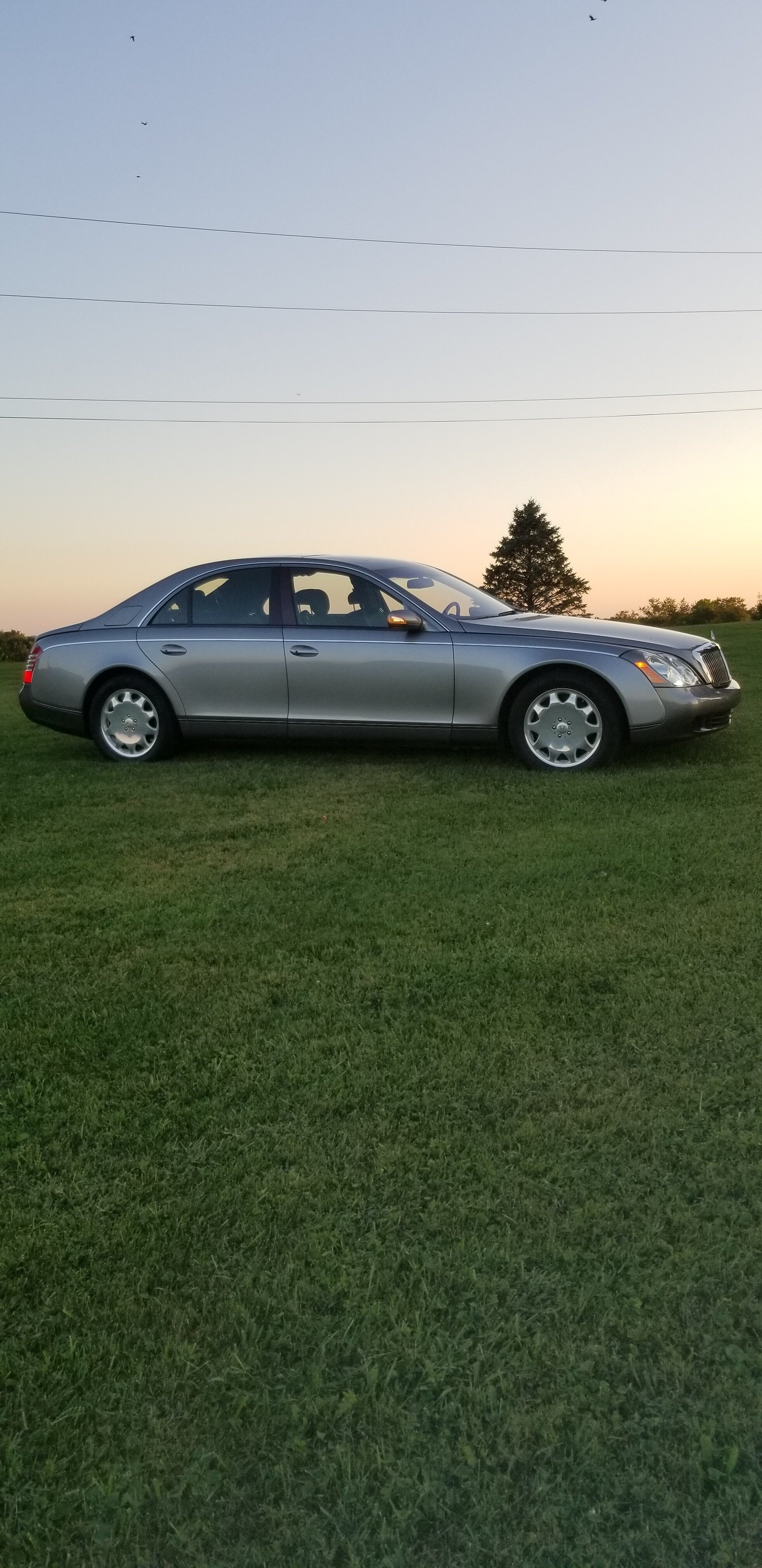 Maybach Classic Cars for Sale - Classics on Autotrader